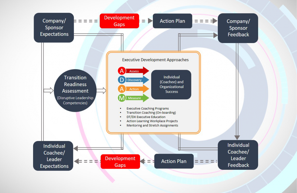 Executive and Transition Coaching Services – Disruptive Leadership ...
