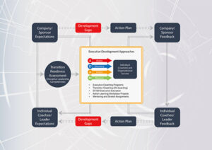 Best Practice Frameworks and Models for Executive Development ...